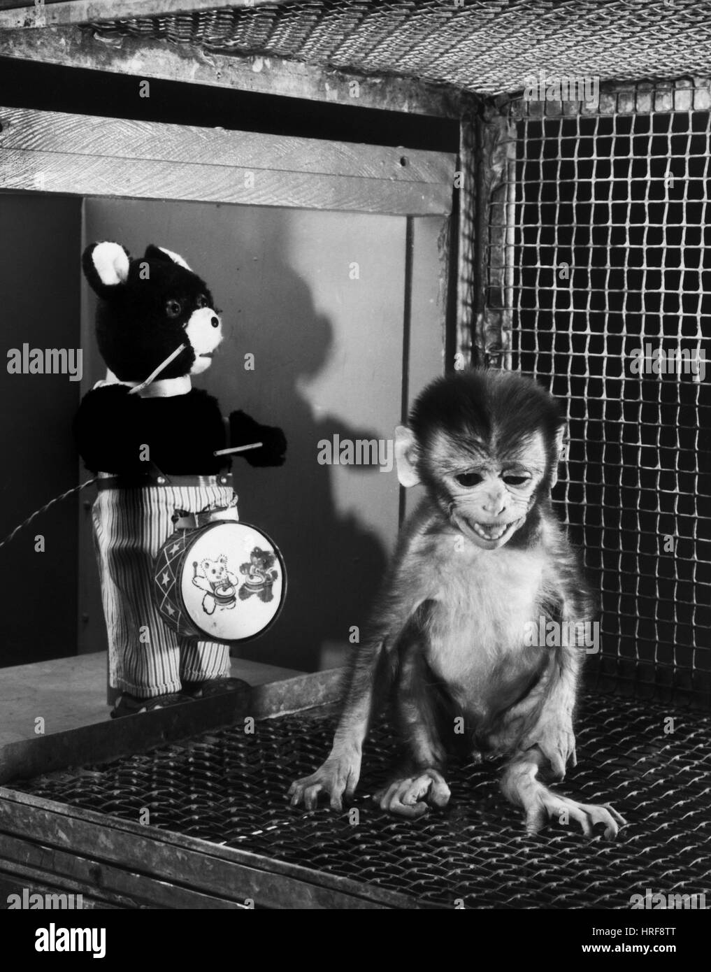 No animal testing Black and White Stock Photos & Images - Alamy
