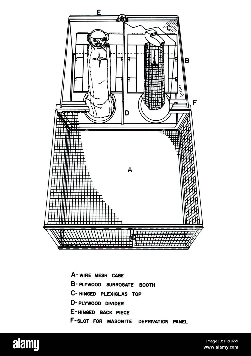 Wire mother experiment hi-res stock photography and images - Alamy