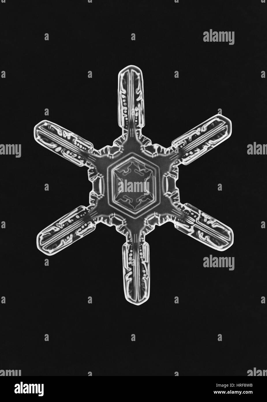 Dendrite snowflake hi-res stock photography and images - Alamy