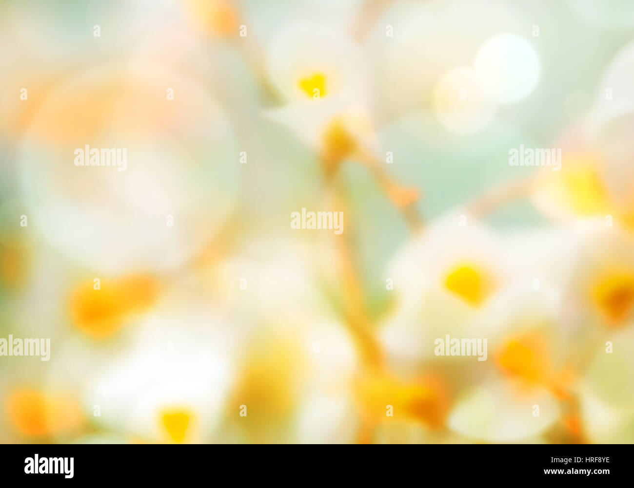 soft focused and colored pastel spring flower background Stock Photo ...