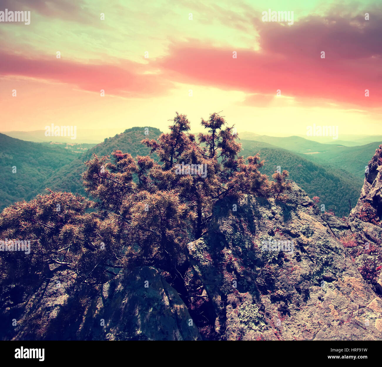 abstract filtered infrared landscape, mountain sunset colored in red ...