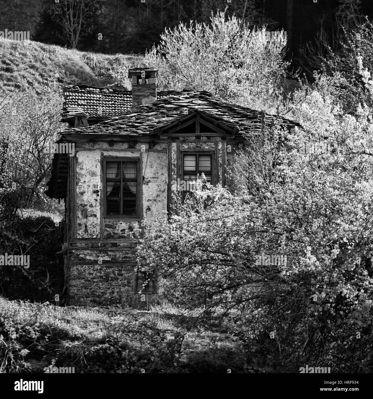 abstract black and white landscape with abandoned house in spring ...