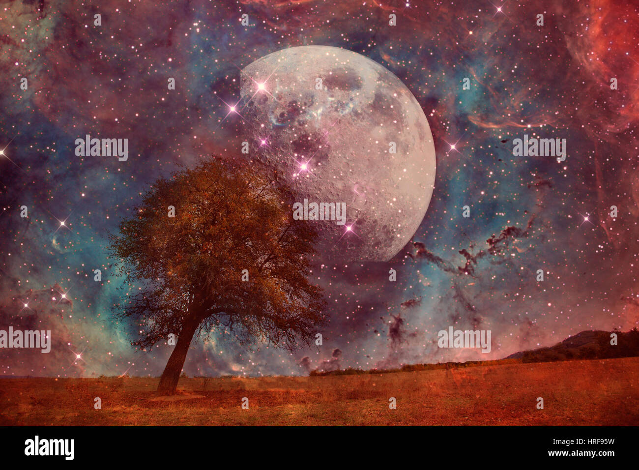 red alien landscape with alone tree over the moon night sky- elements ...