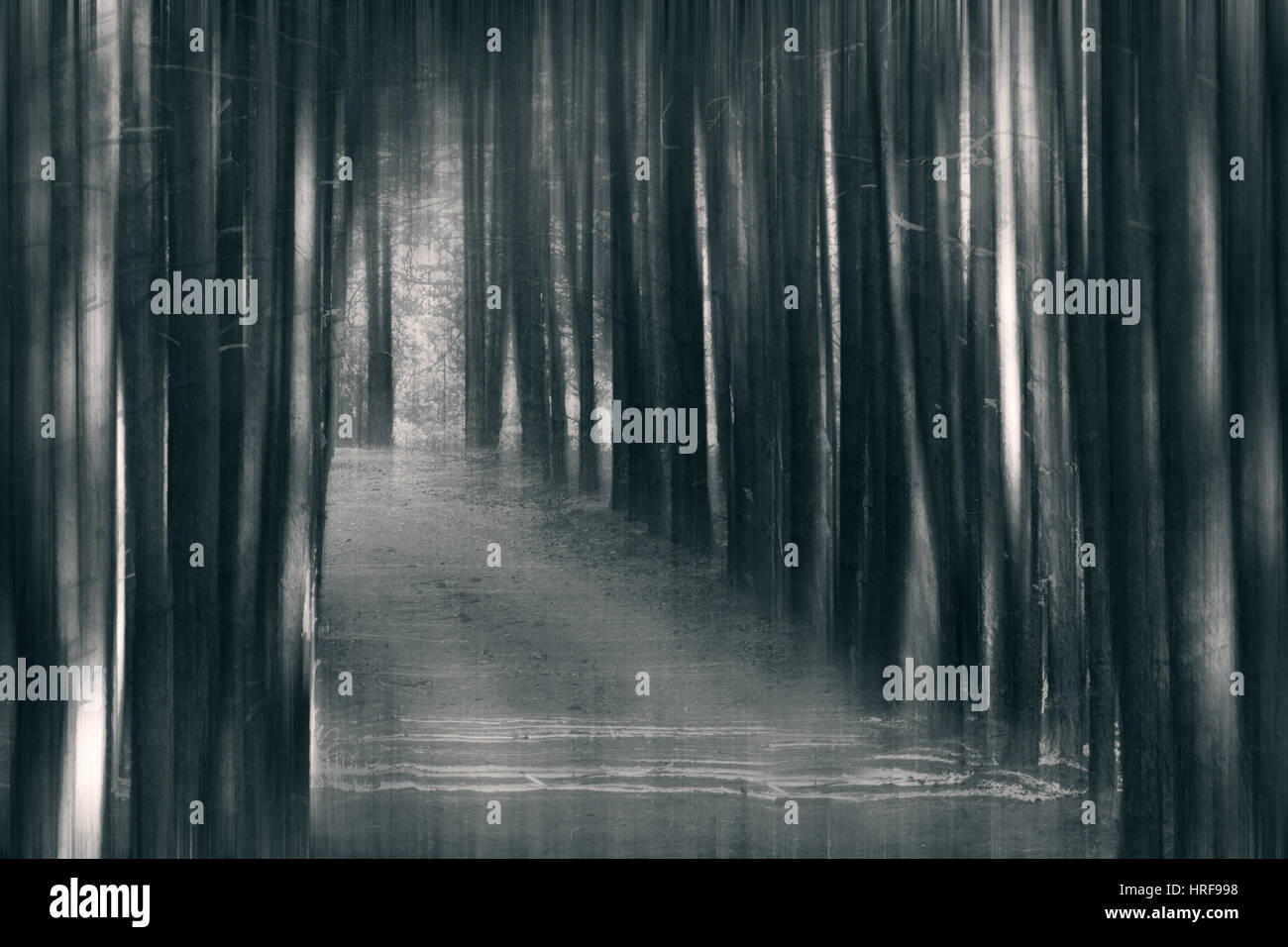 Blurred spooky woods in black and white Stock Photo - Alamy