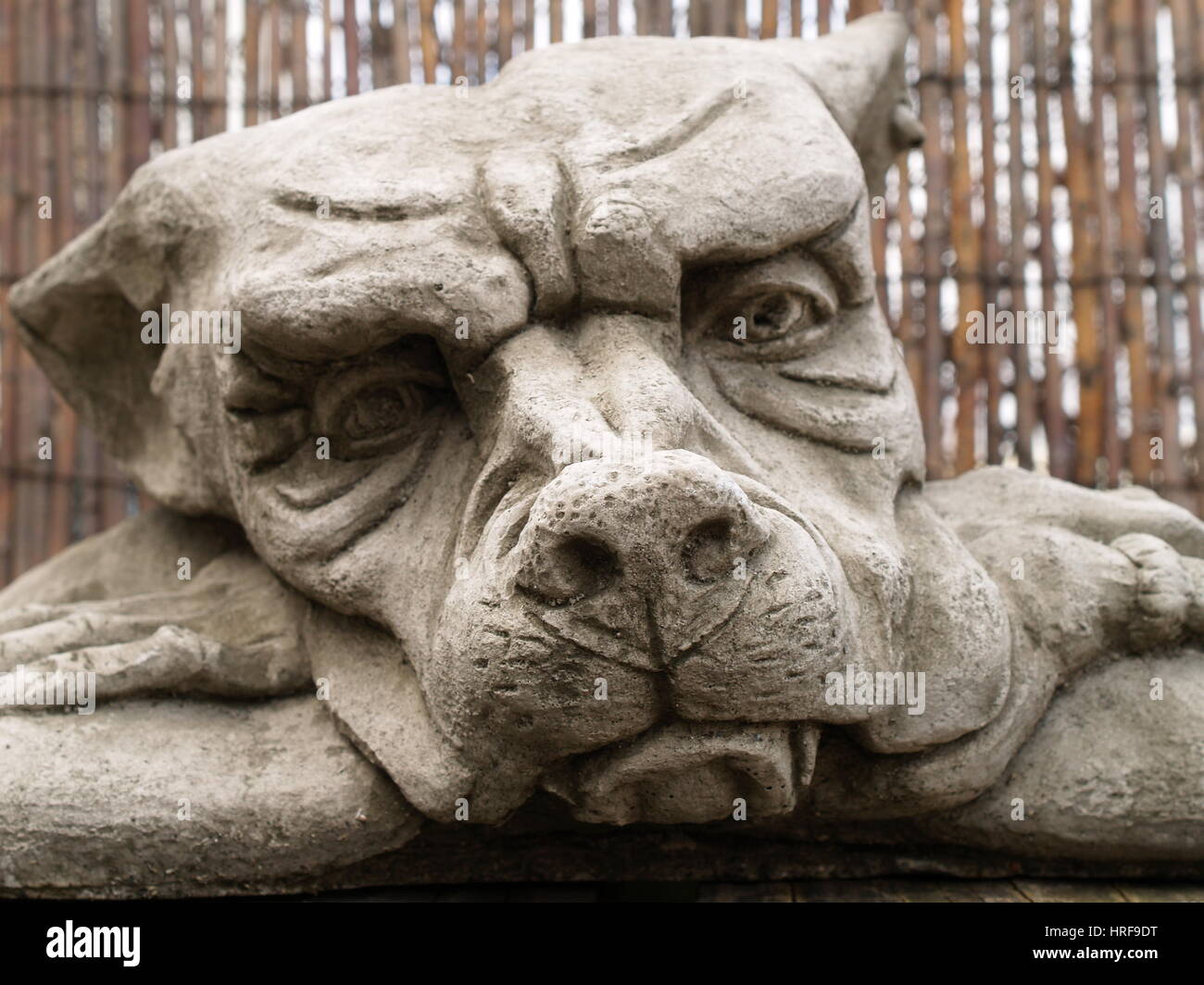Stone dog hi-res stock photography and images - Alamy