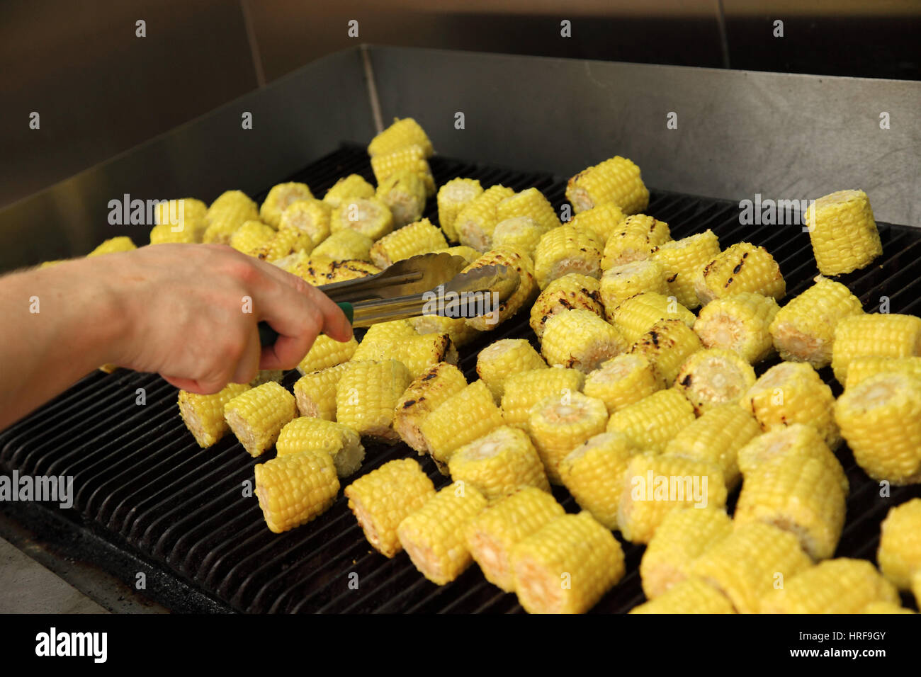 Grilling griddling sweetcorn pieces in a commercial kitchen.Turning ...