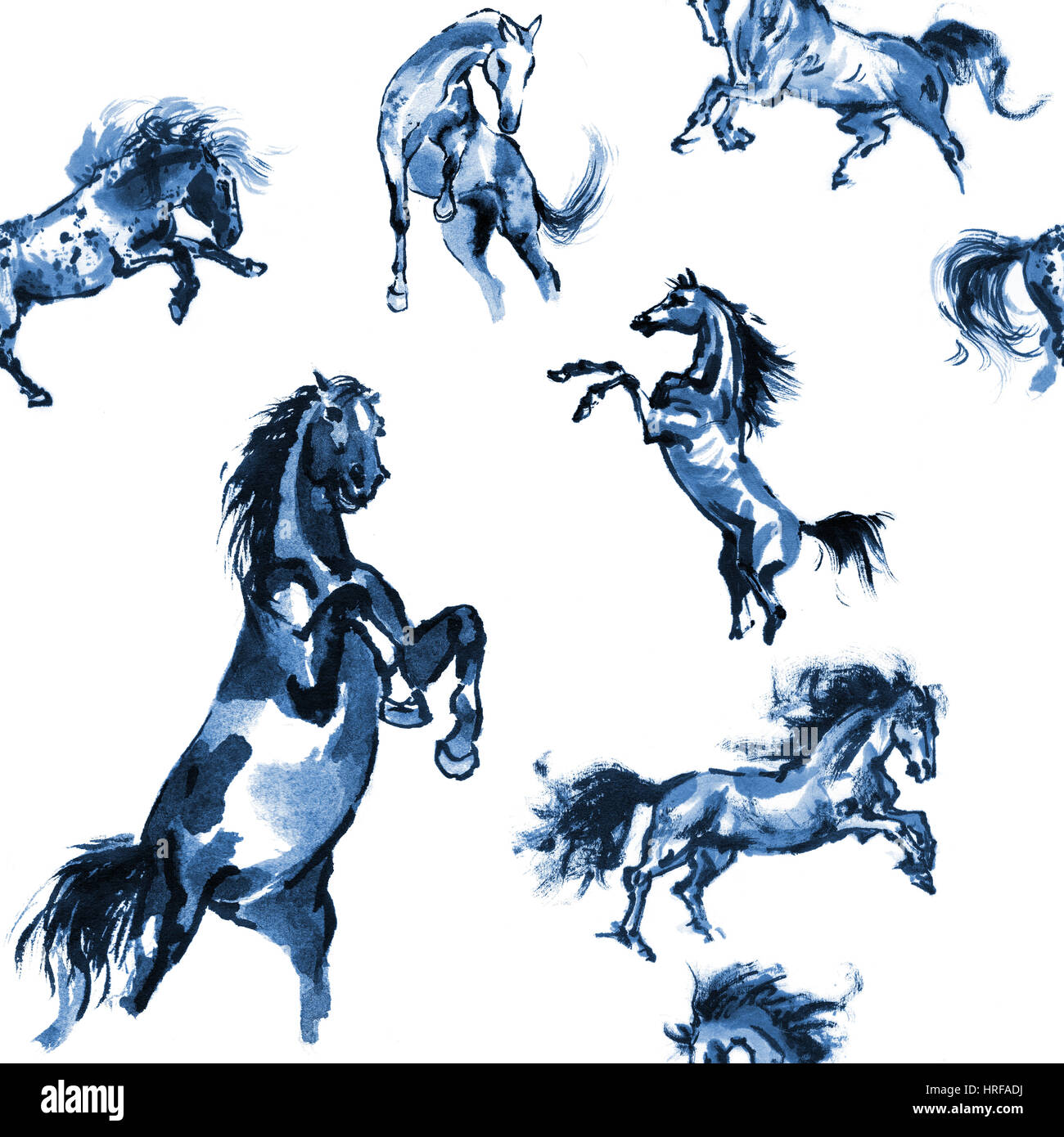 Prancing horses hi-res stock photography and images - Alamy