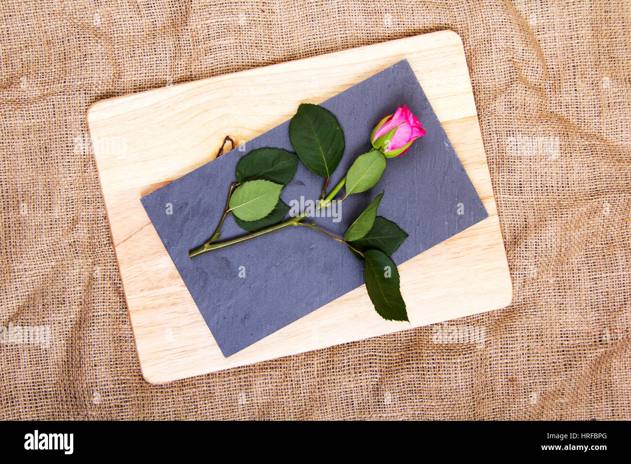 Single rose cut up on piece of slate Stock Photo - Alamy