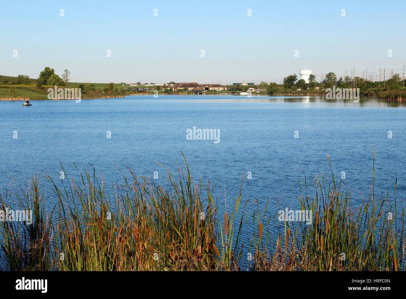 The forked path in the park Stock Photo - Alamy