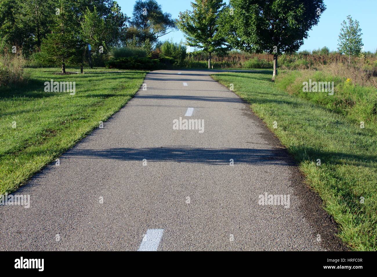The forked path in the park Stock Photo - Alamy