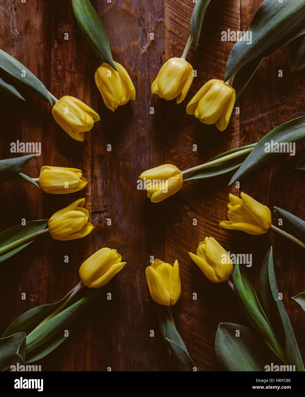 Circle table symbol hi-res stock photography and images - Alamy