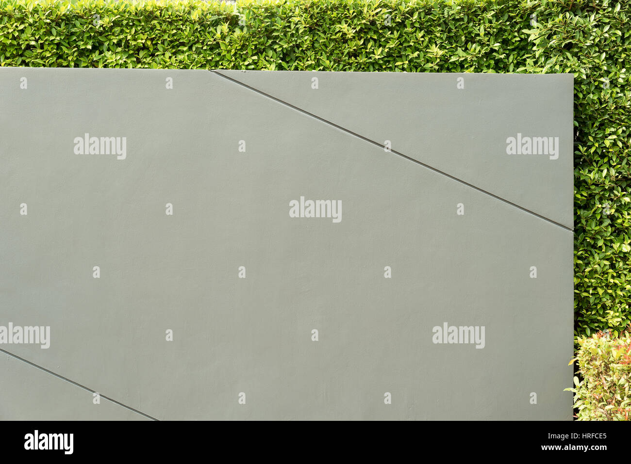 Grey wall and tree background in the park Stock Photo - Alamy