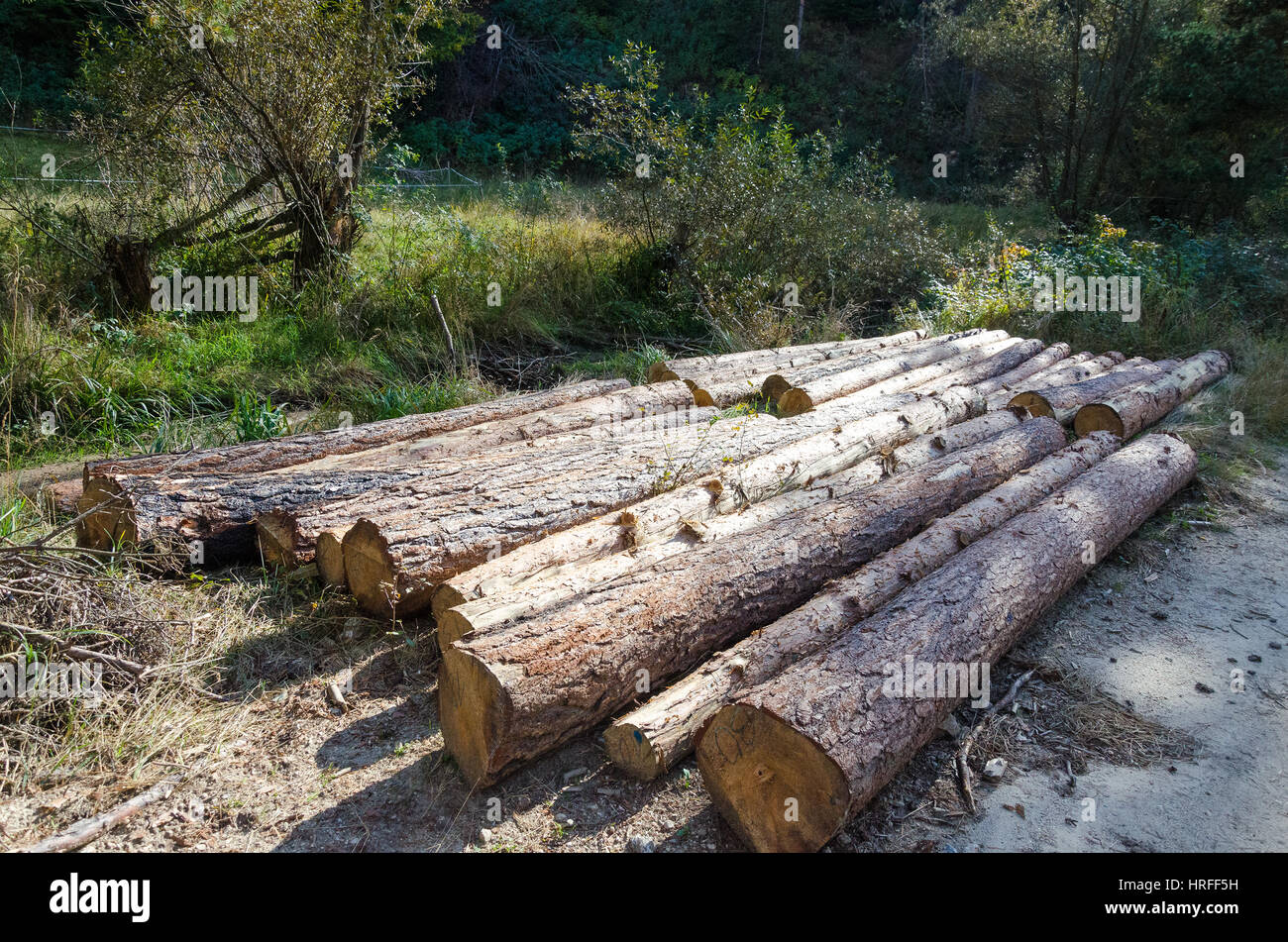 Sale > log down > in stock