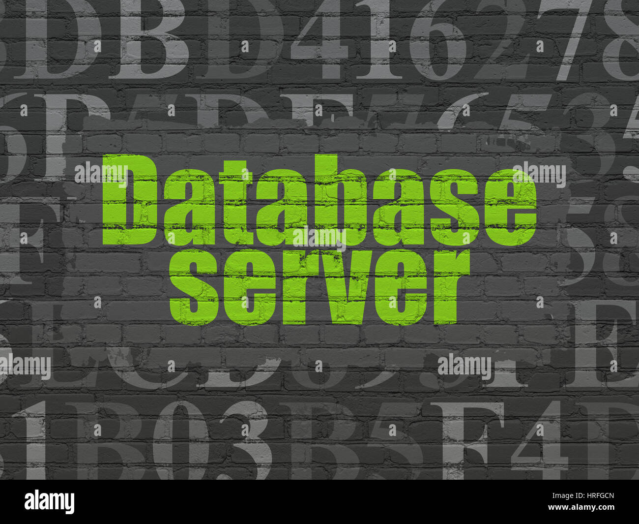 Software concept: Database Server on wall background Stock Photo - Alamy