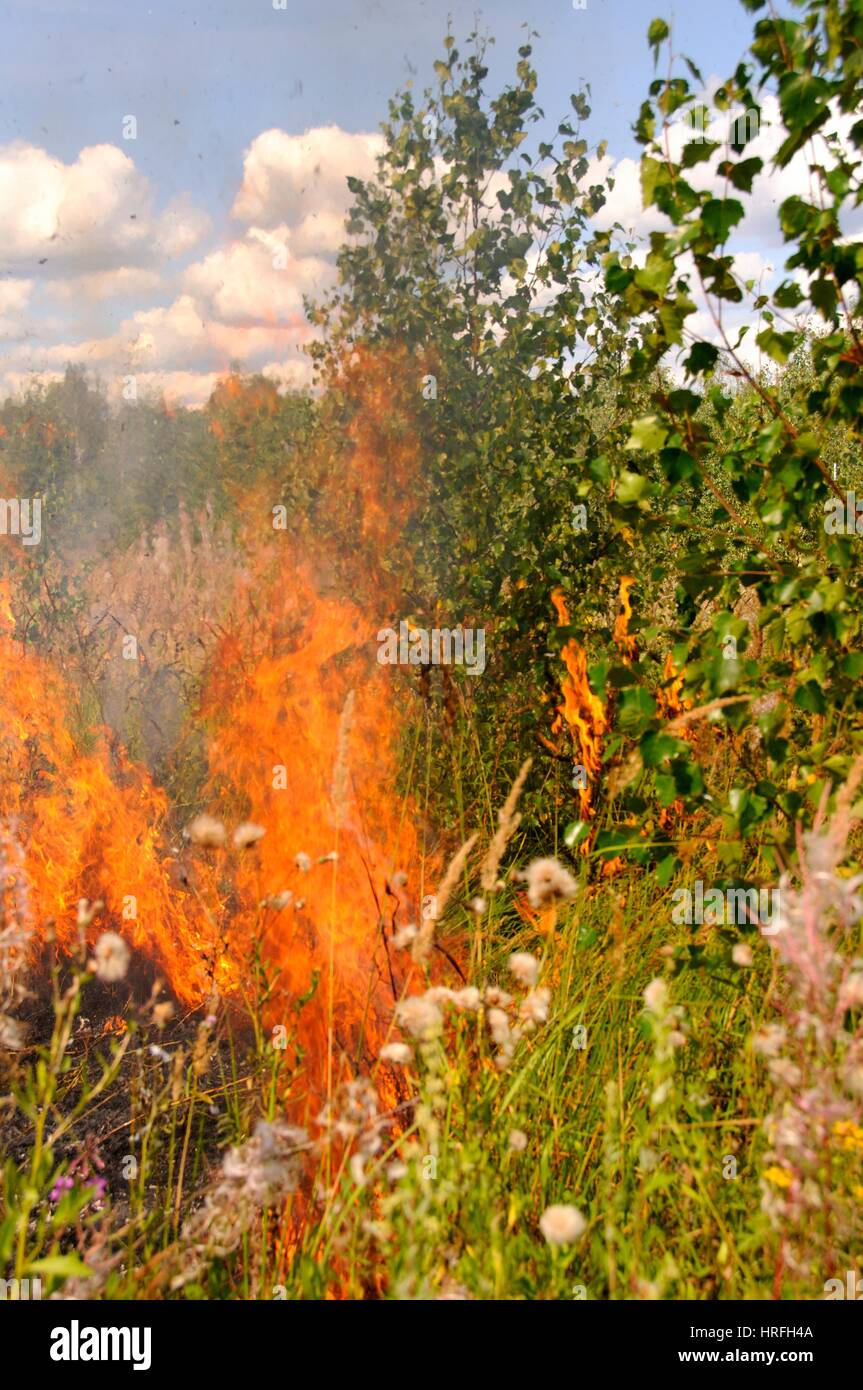 Adobe rgb hi-res stock photography and images - Alamy