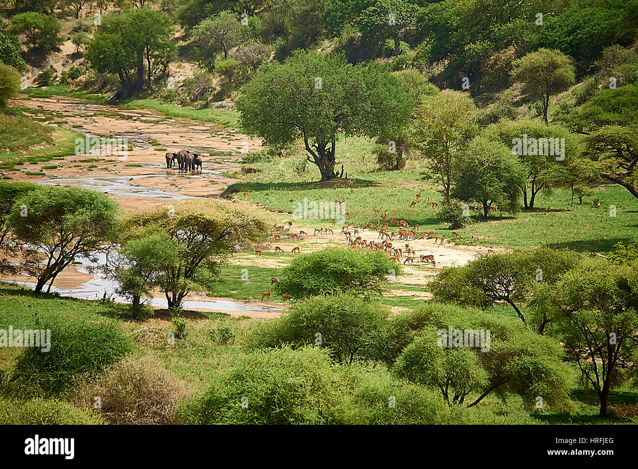 After recent rainfall water hi-res stock photography and images - Alamy