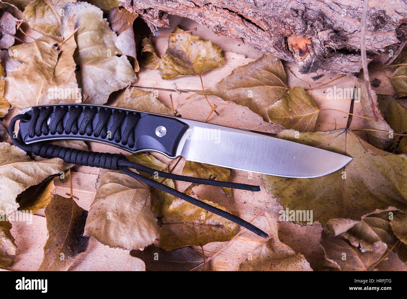 Hunter knife on fall foliage. Knife hunter Stock Photo - Alamy
