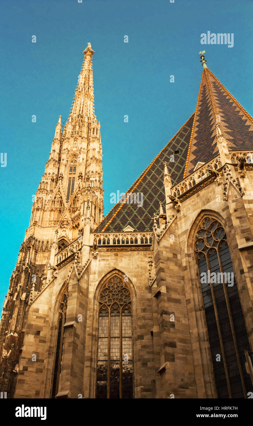 The Saint Stephen cathedral at night, Vienna, Austria Stock Photo - Alamy