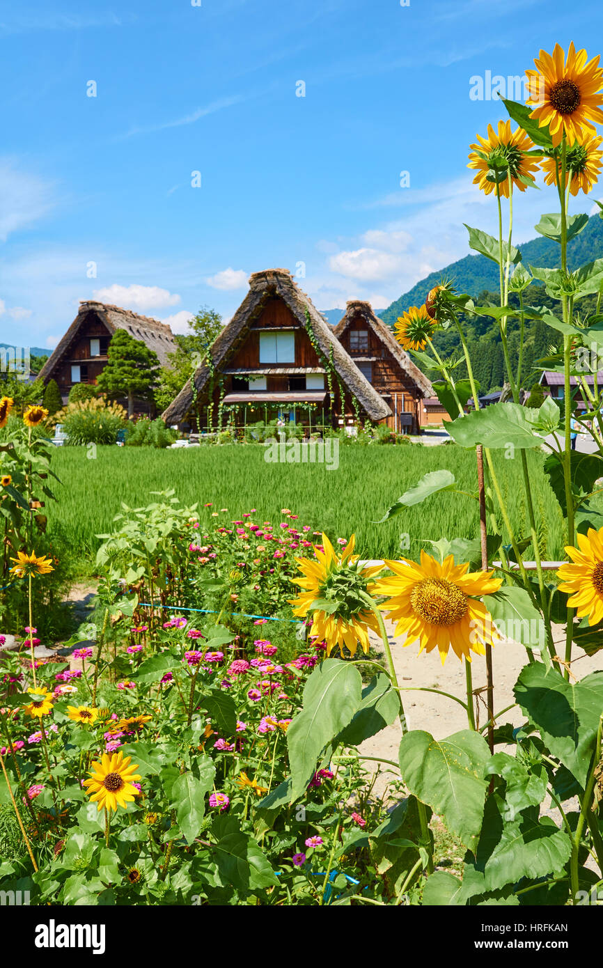Japanese farming agriculture traditional High Resolution Stock ...