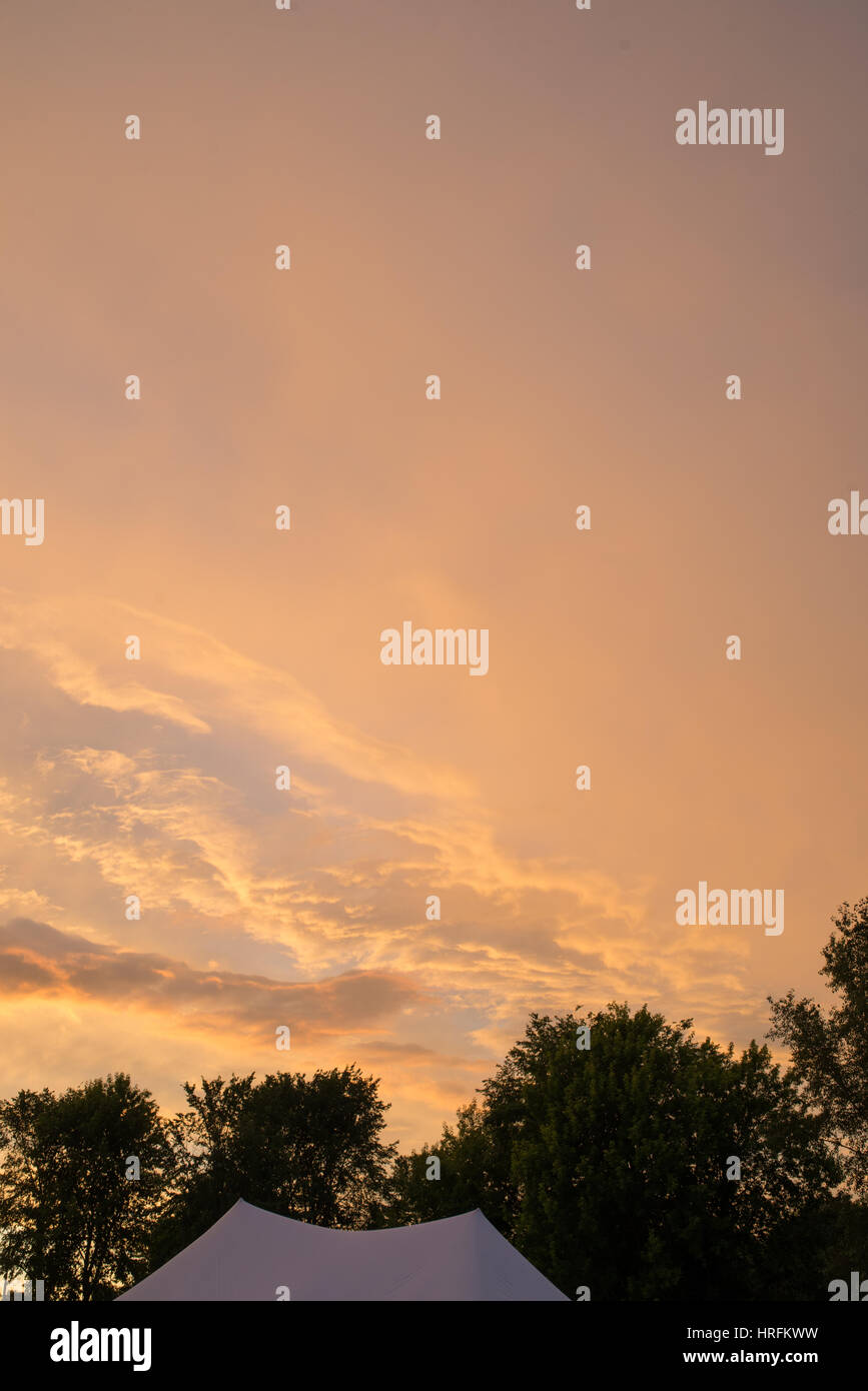 Sunrise over trees hi-res stock photography and images - Alamy