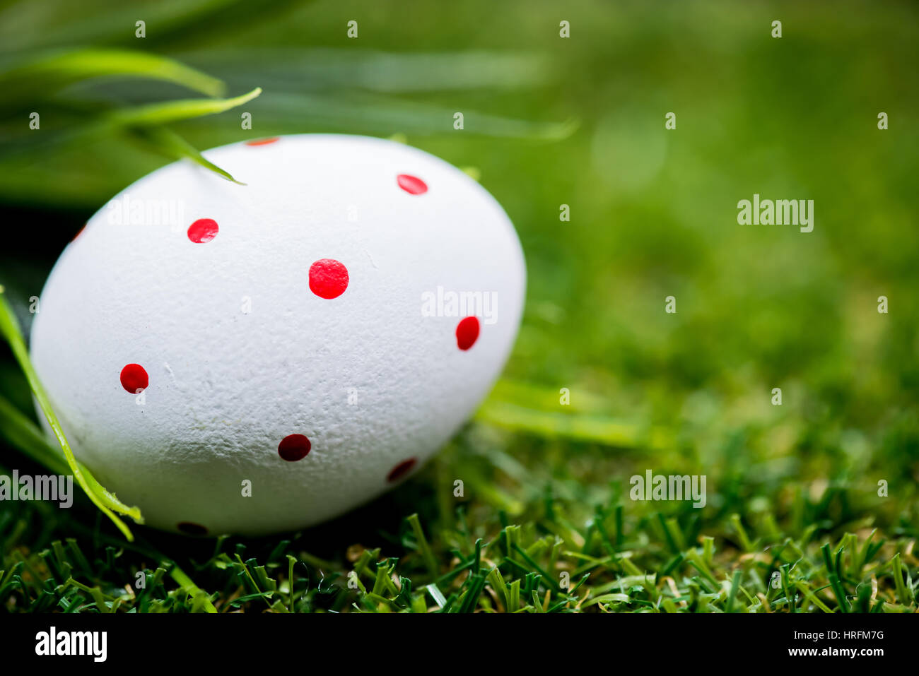 Happy Easter day, bunny and egg, Christians worldwide celebrate Stock ...