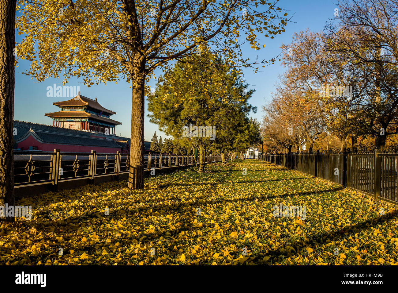China autumn morning hi-res stock photography and images - Alamy