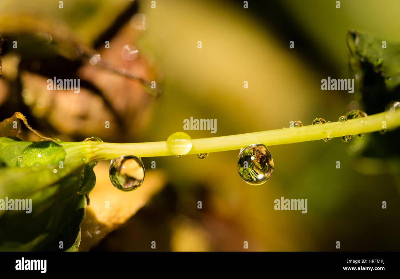 Highspeed photography hi-res stock photography and images - Alamy