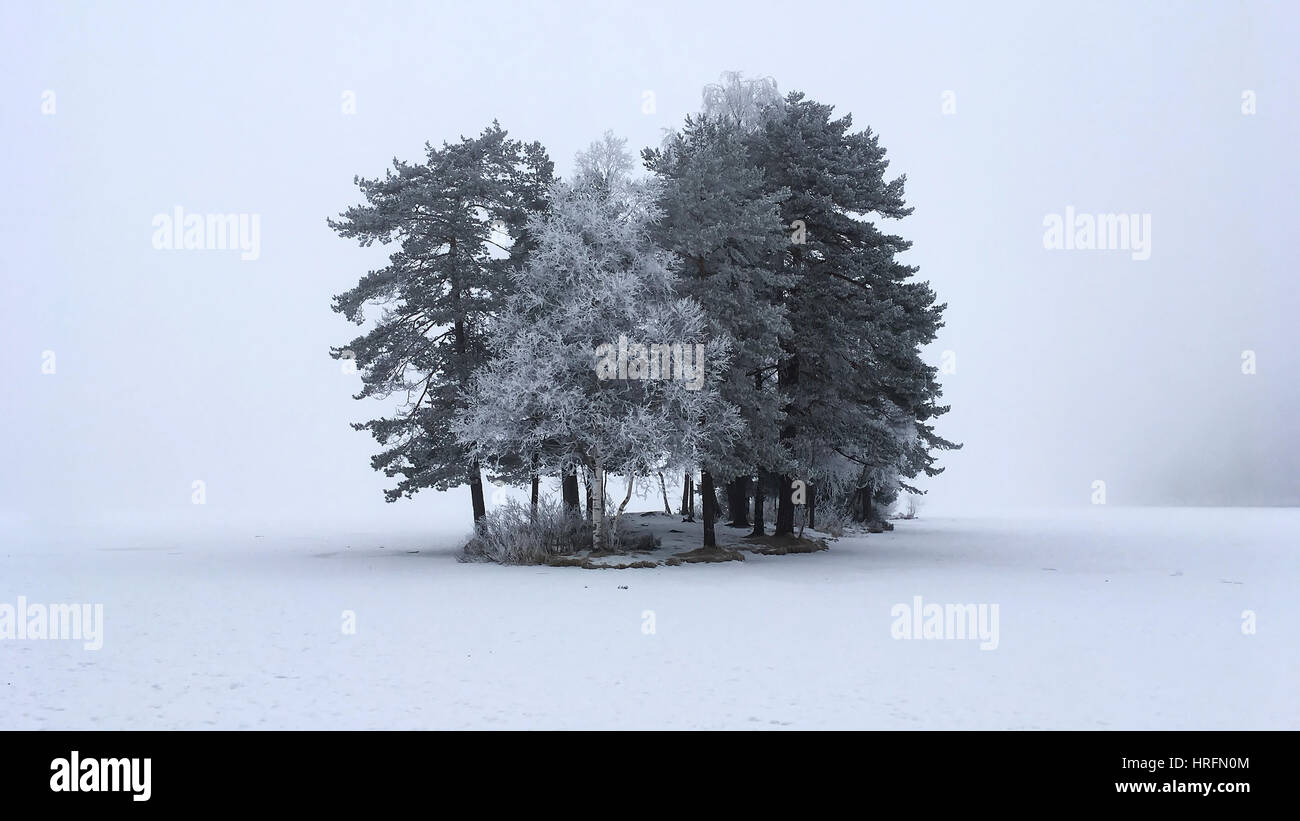 Decorated tree in forest hi-res stock photography and images - Alamy