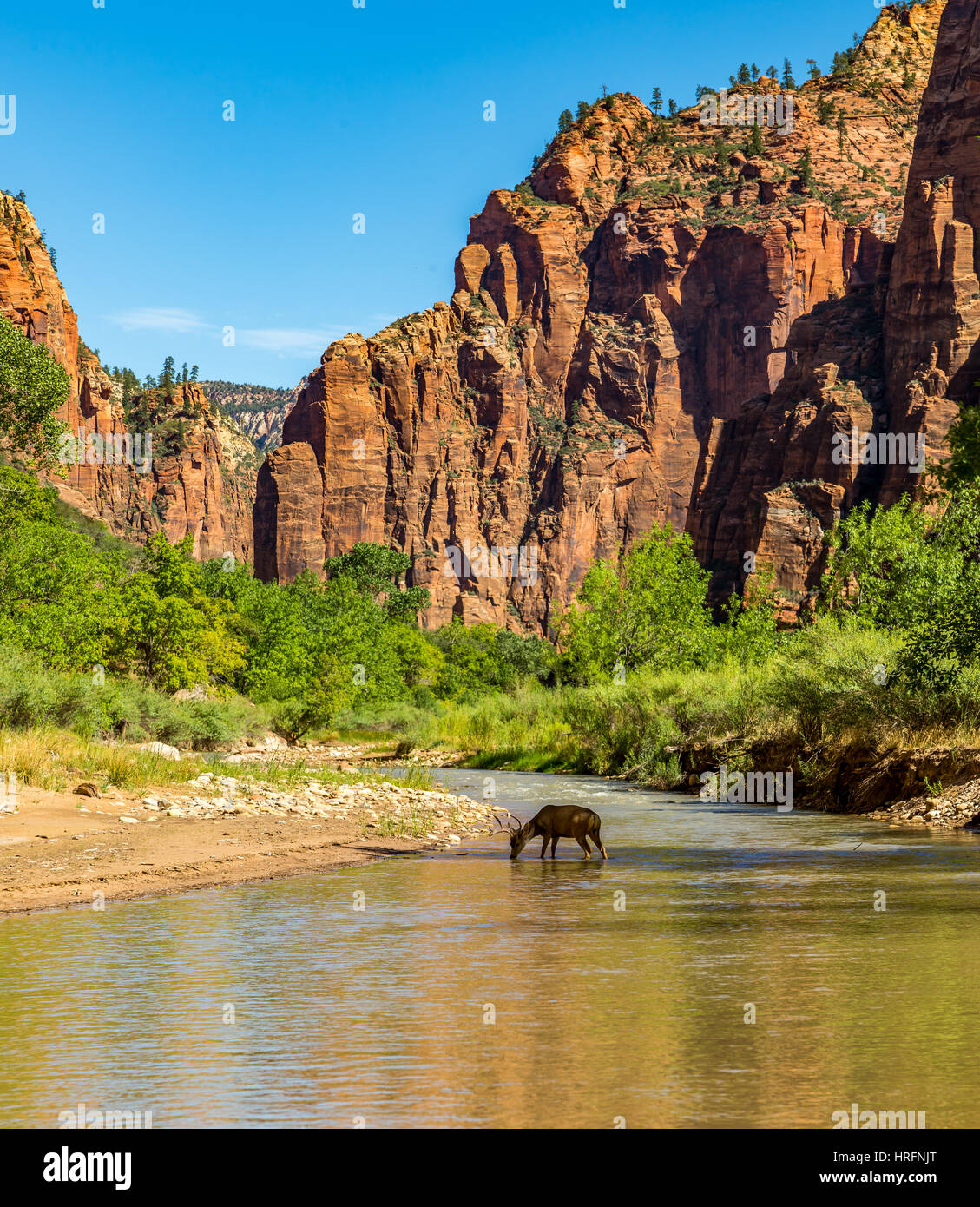 Zion National Park is a southwest Utah nature preserve distinguished by ...