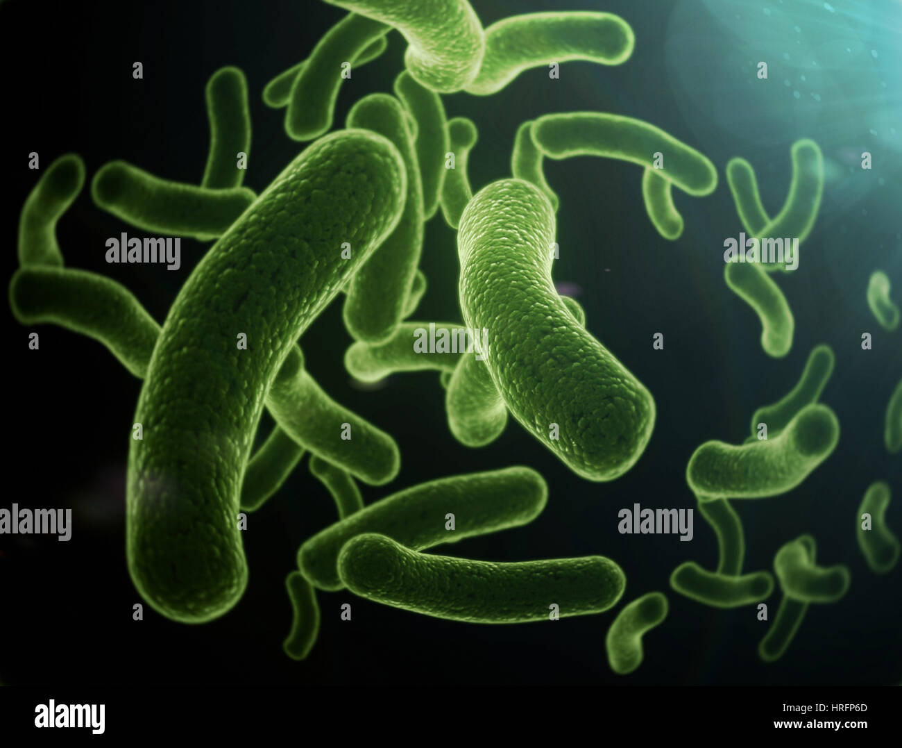 Tiny cells hi-res stock photography and images - Alamy