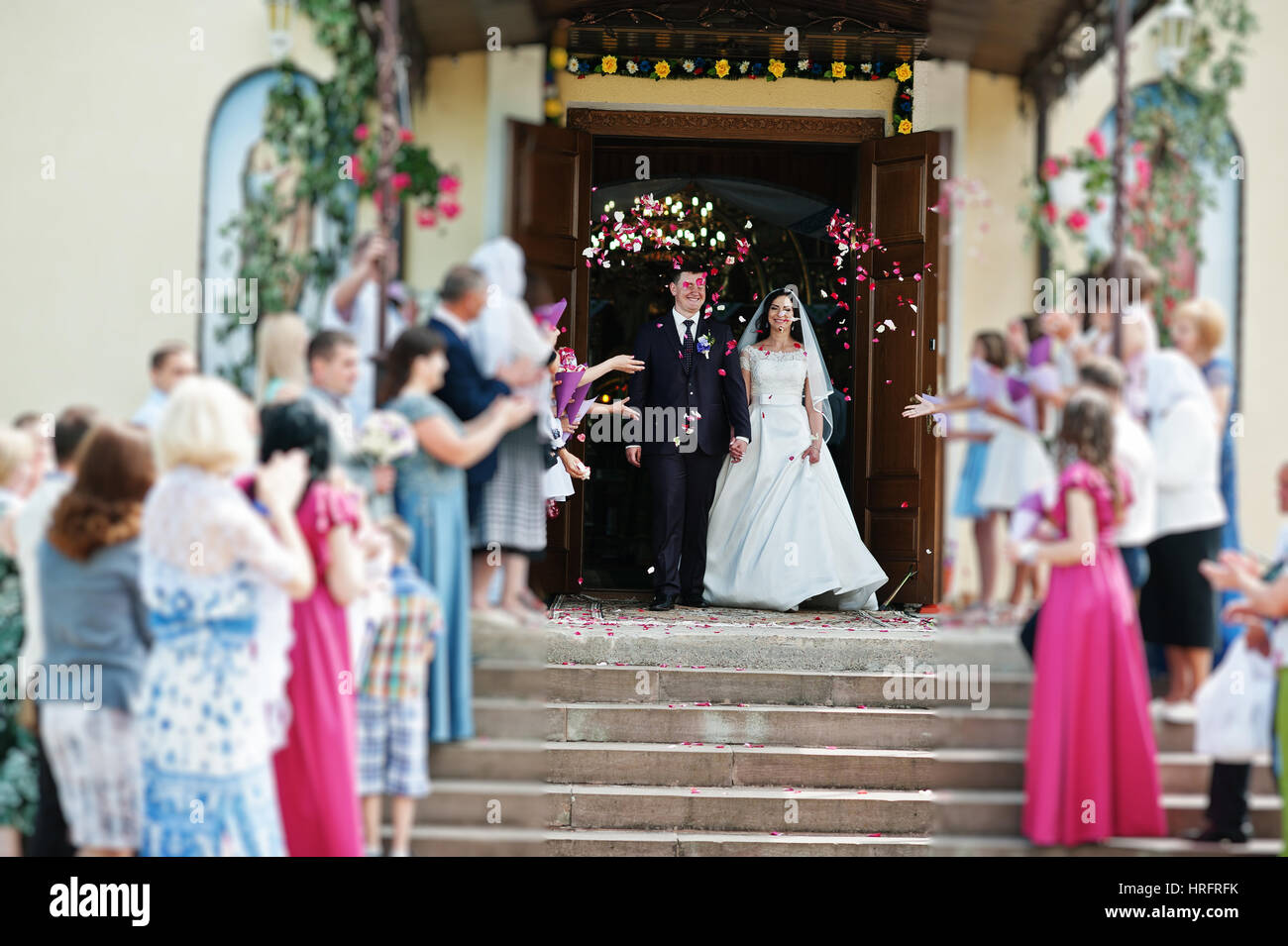 Guests are greeted wedding couple with petals of roses at exit from ...