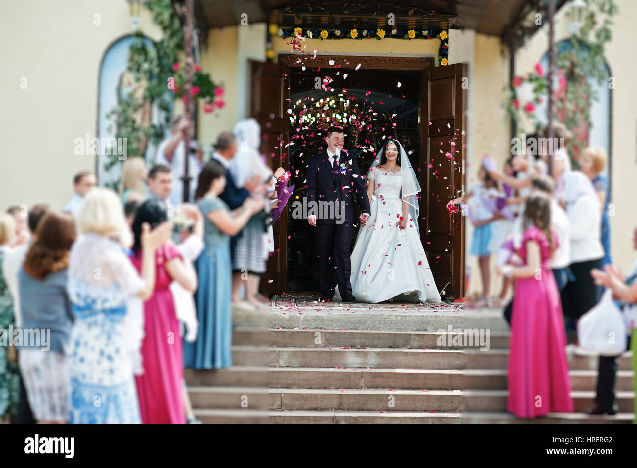 Guests are greeted wedding couple with petals of roses at exit from ...
