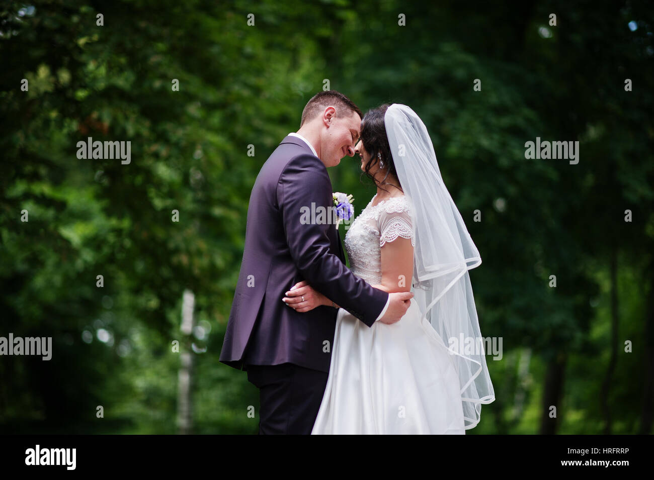 Magnificent wedding couple background green park in love Stock Photo ...