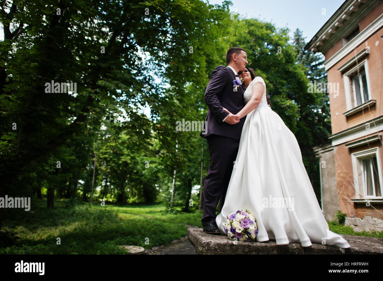 Magnificent wedding couple background green park in love Stock Photo ...