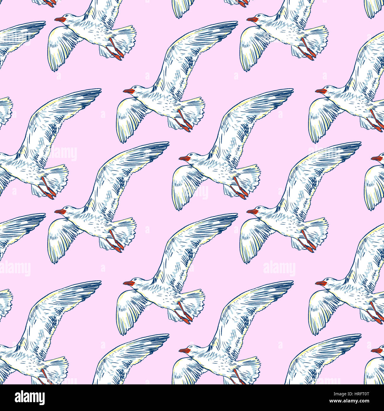 seamless pattern with Gull flight bird and seabird gull. Hand-drawn ...