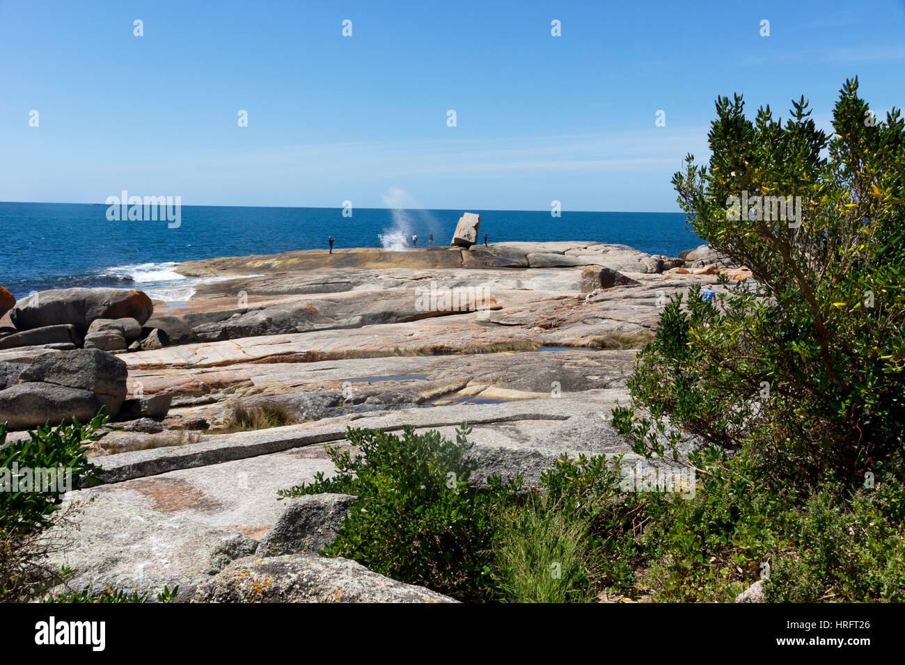 The Blowhole at Bicheno, Tasmania, Australia Stock Photo - Alamy