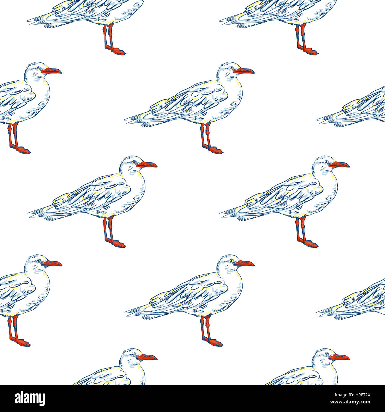 seamless pattern with Gull flight bird and seabird gull. Hand-drawn ...