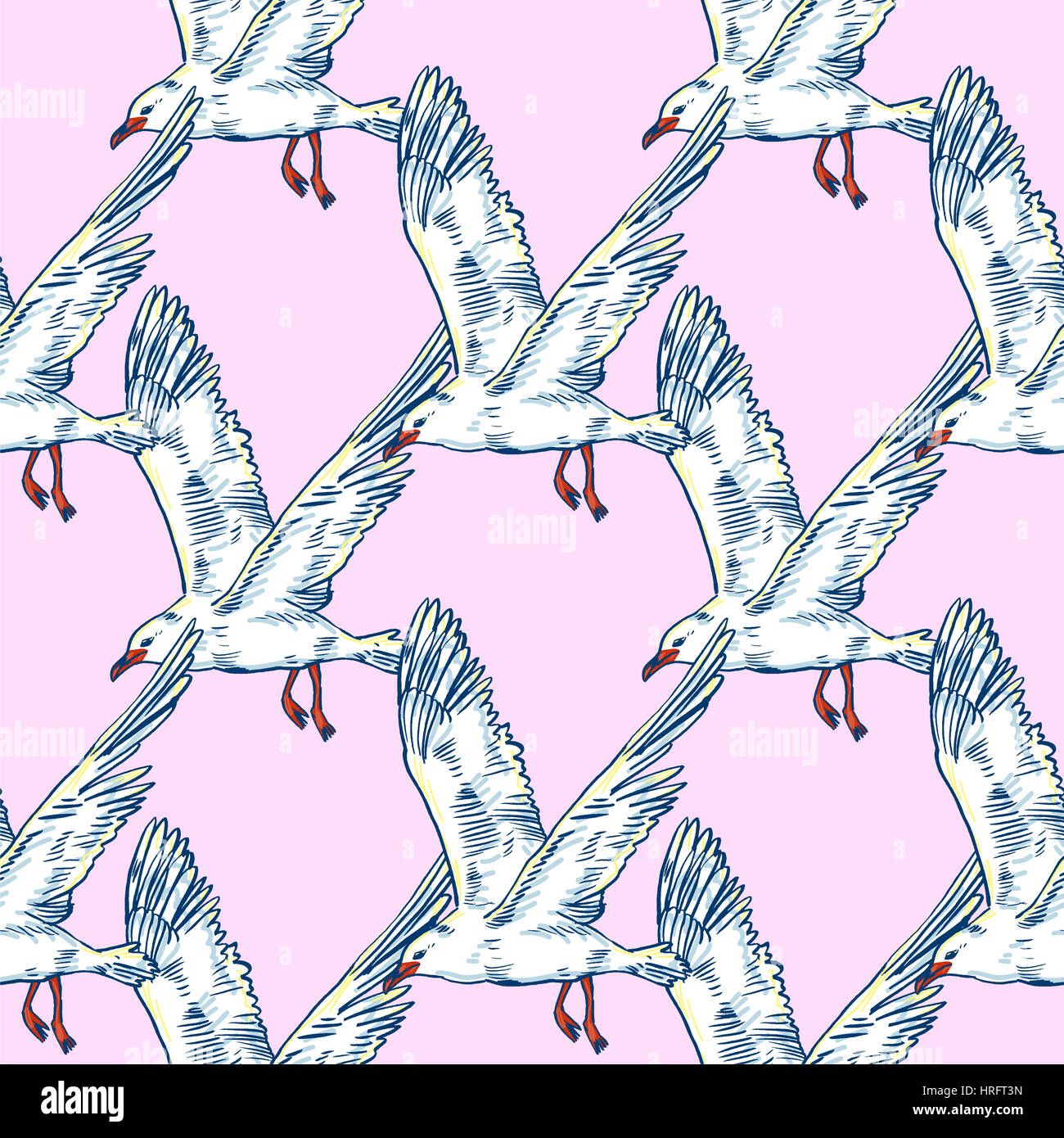 seamless pattern with Gull flight bird and seabird gull. Hand-drawn ...