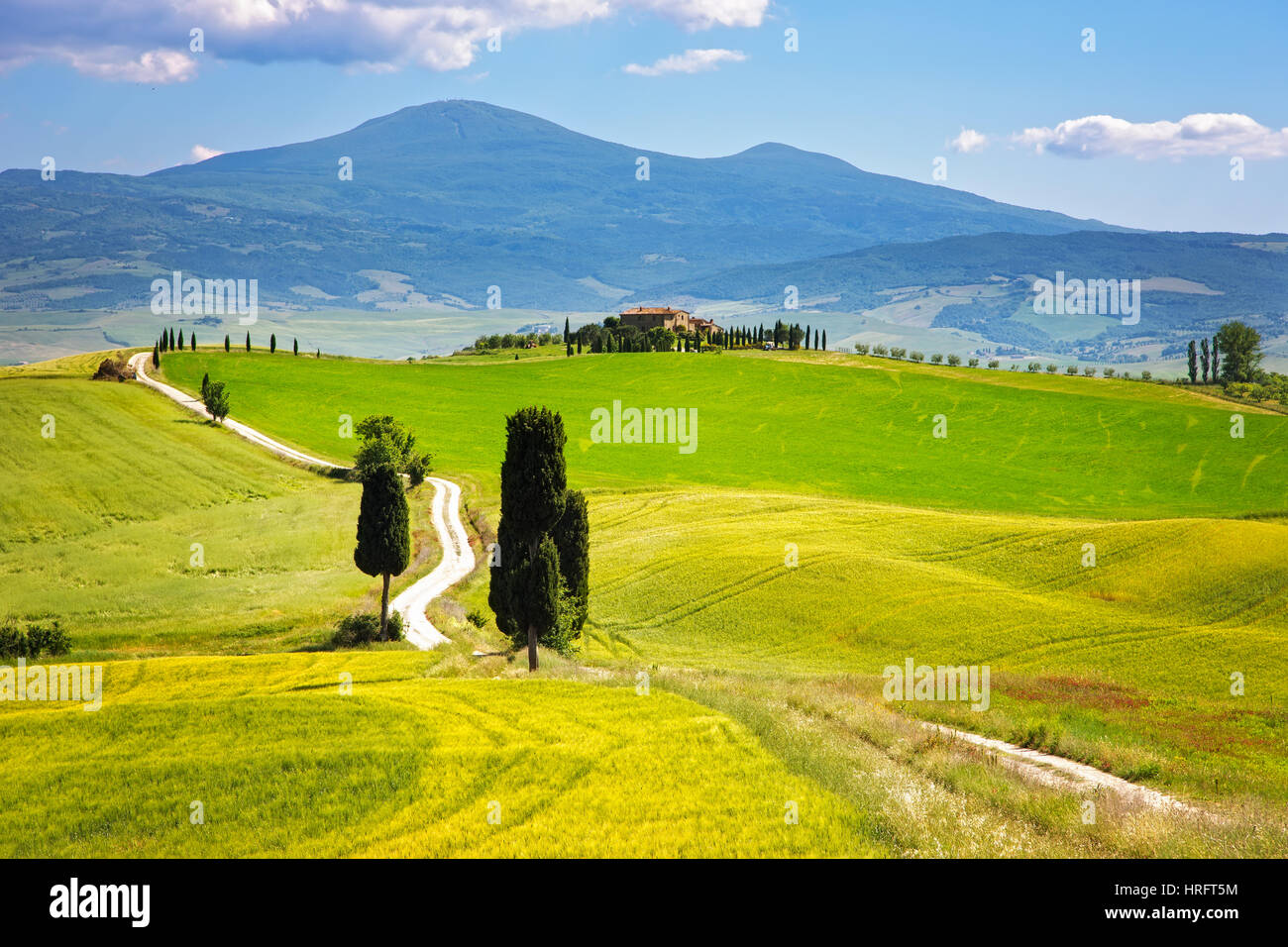 Tuscany, rural sunset landscape. Countryside farm, cypresses trees ...