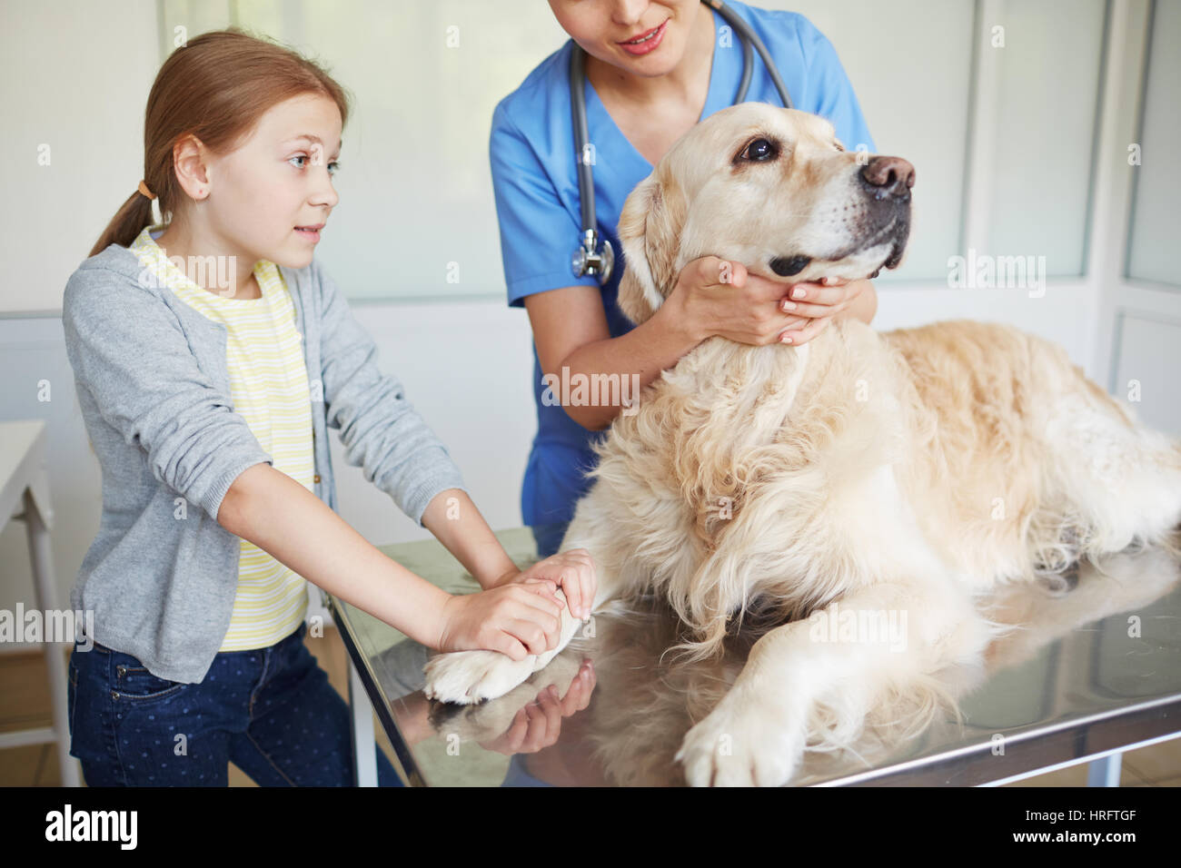 Doctor and small female owner hugging and soothing cute dog lying on ...