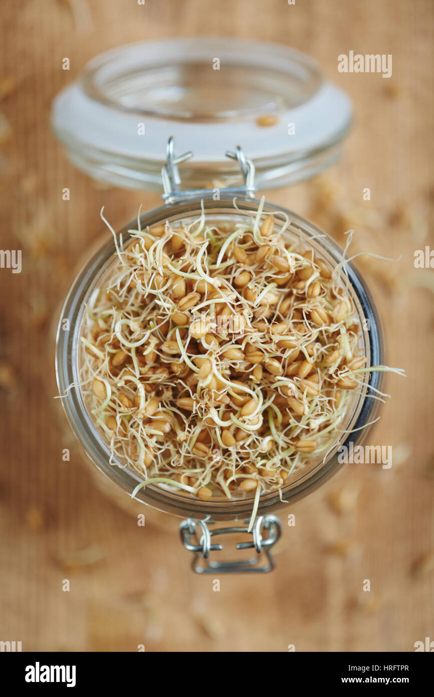 Bean seeds germinating jar hi-res stock photography and images - Alamy