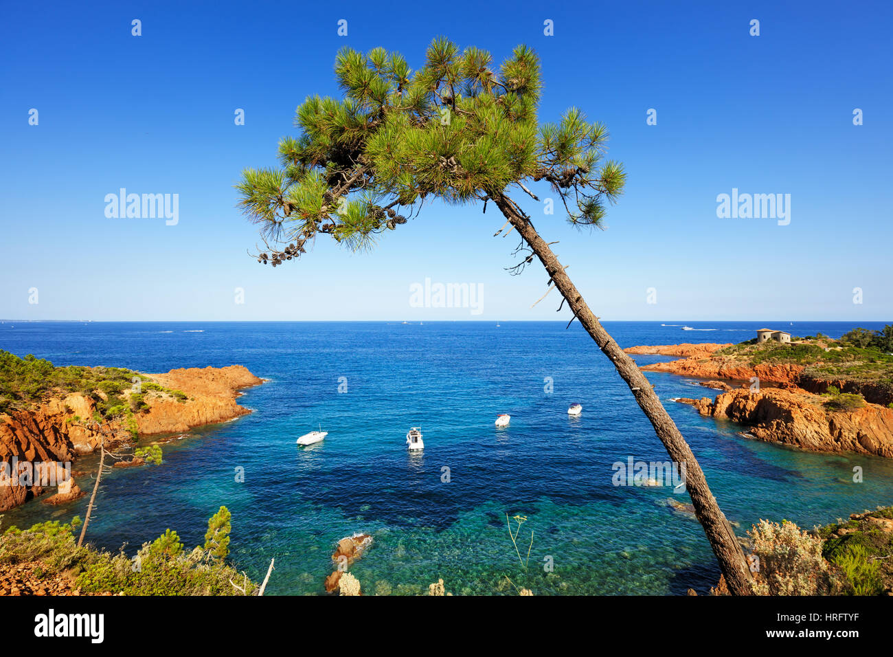 Esterel mediterranean tree, red rocks coast, beach and sea. French ...