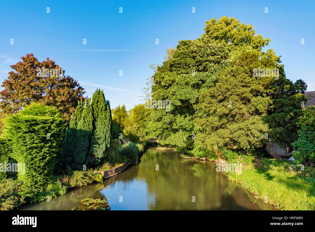 Stream with trees and blue sky Stock Photo - Alamy