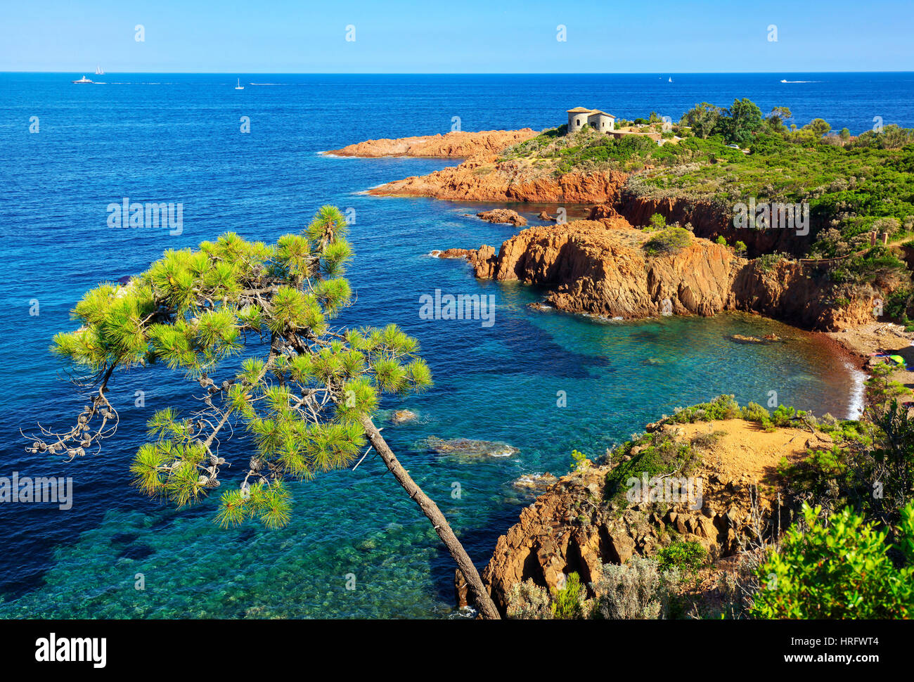 Esterel mediterranean tree, red rocks coast, beach and sea. French ...