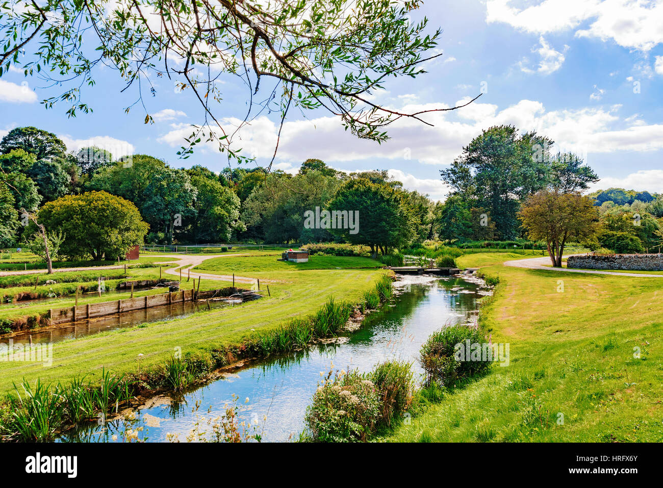 Stream with trees and grass hi-res stock photography and images - Alamy