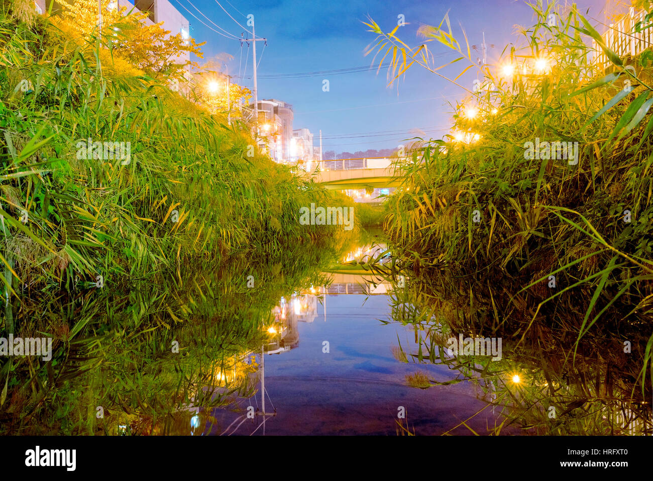 Stream in Seoul at night Stock Photo - Alamy