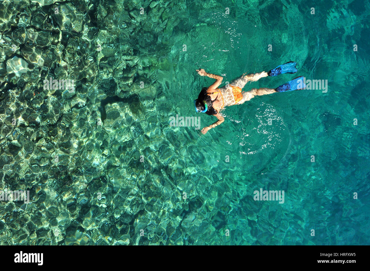 Young woman in swimsuit snorkeling in clear shallow tropical sea over ...