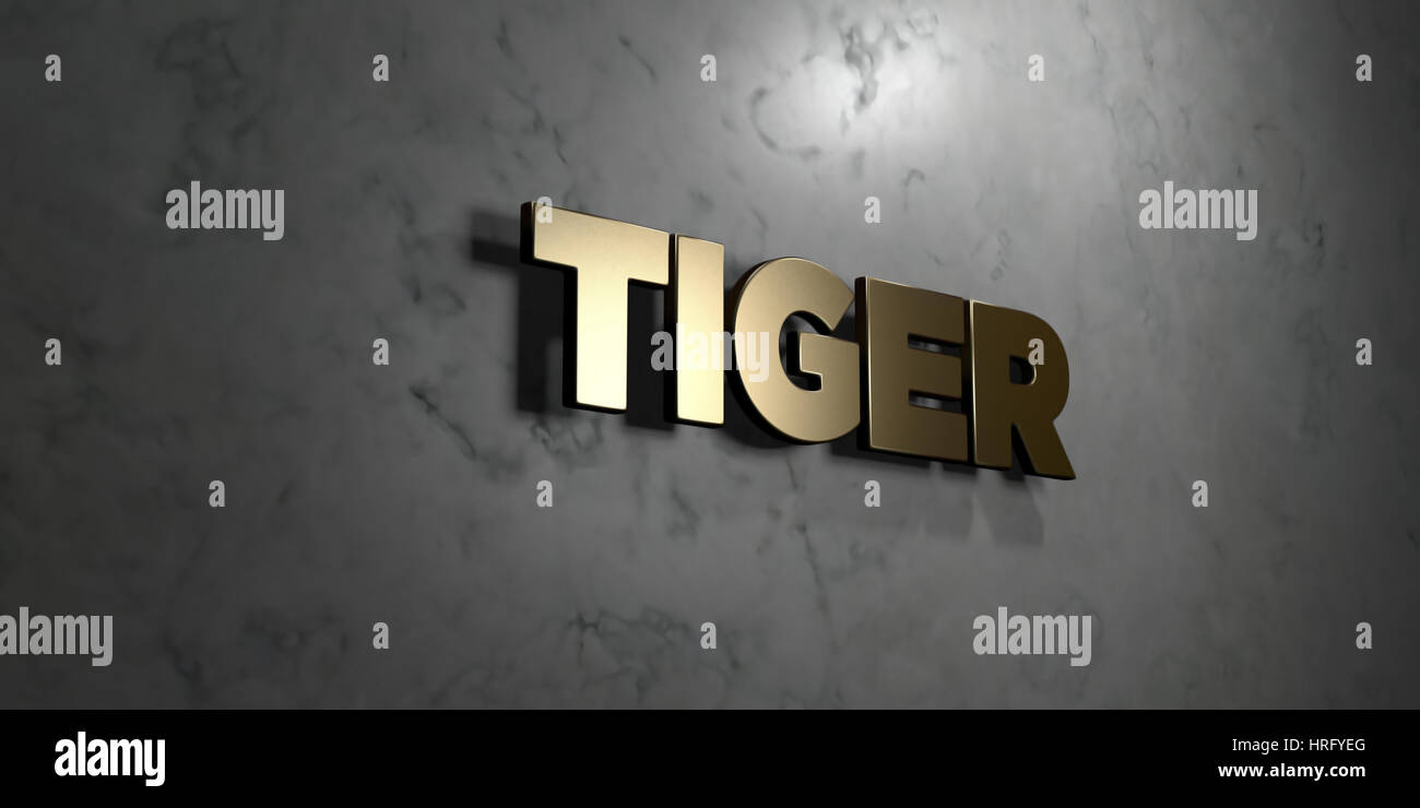 Tiger - Gold sign mounted on glossy marble wall - 3D rendered royalty ...