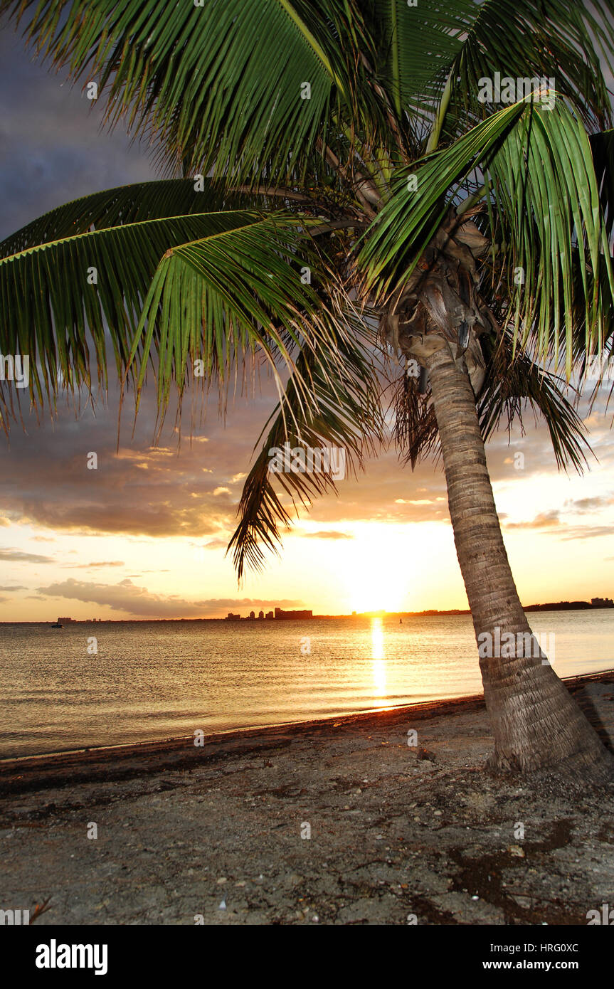 Beautiful panorama of the Miami skyline at sunset, from Key Biscayne ...