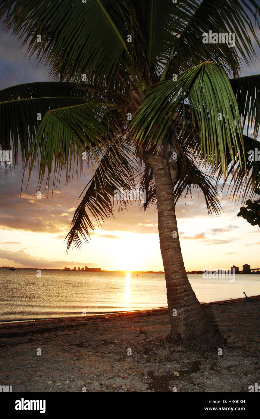 Beautiful panorama of the Miami skyline at sunset, from Key Biscayne ...